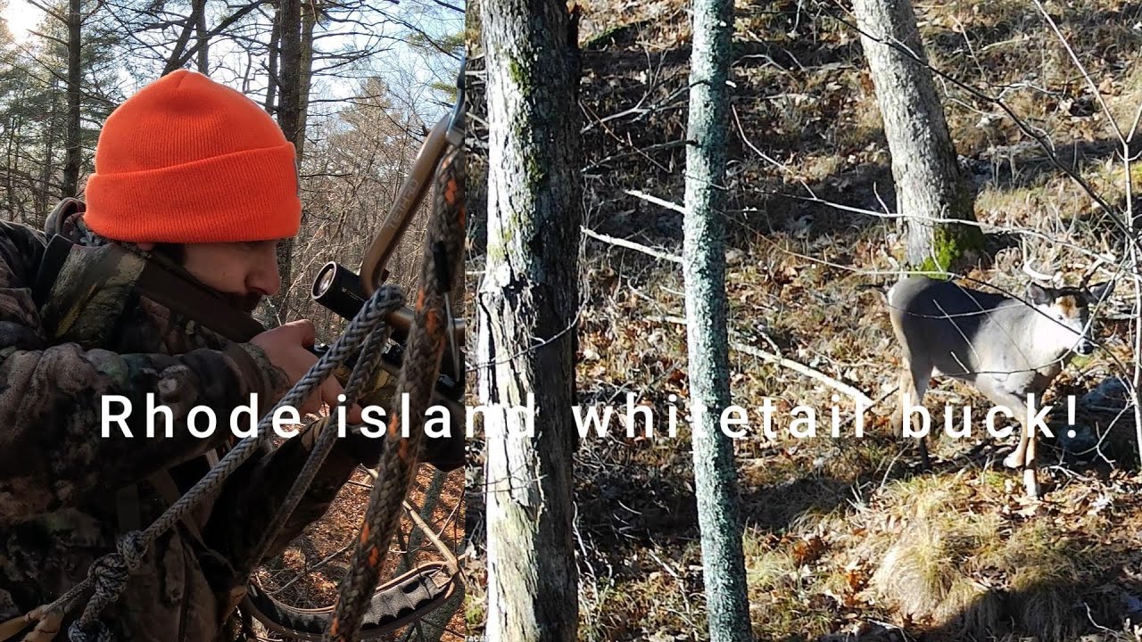 SHOTS FIRED!! Muzzloader deer hunting RI! ( I learned a HARD leason ...