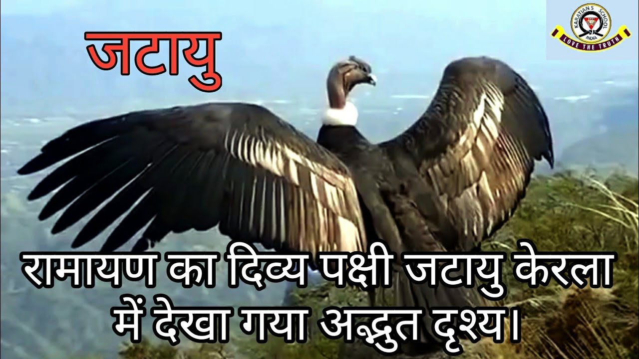जटायु रामायण का दिव्य पक्षी है। JATAYU, The Divine Bird of Ramayan ...