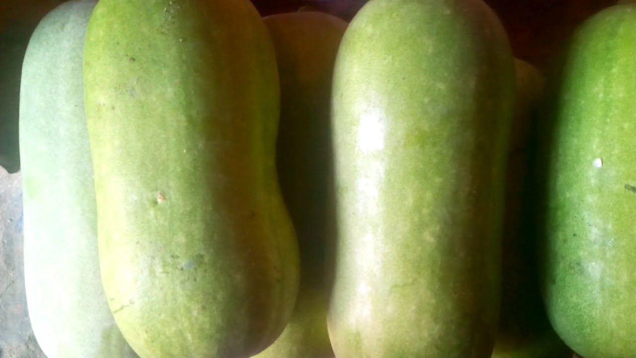 Bengal fresh fruit CHA-CHE-KUMRO - YouTube