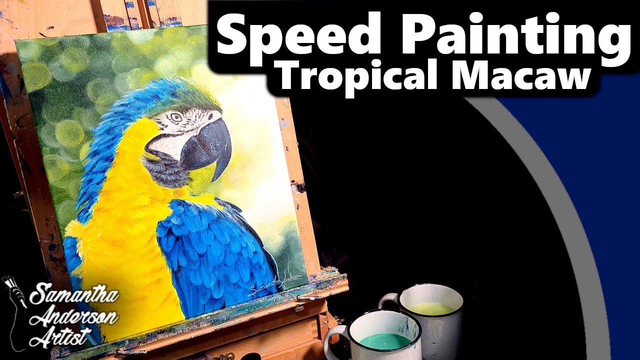 Tropical Macaw | Full Painting Time-Lapse - YouTube