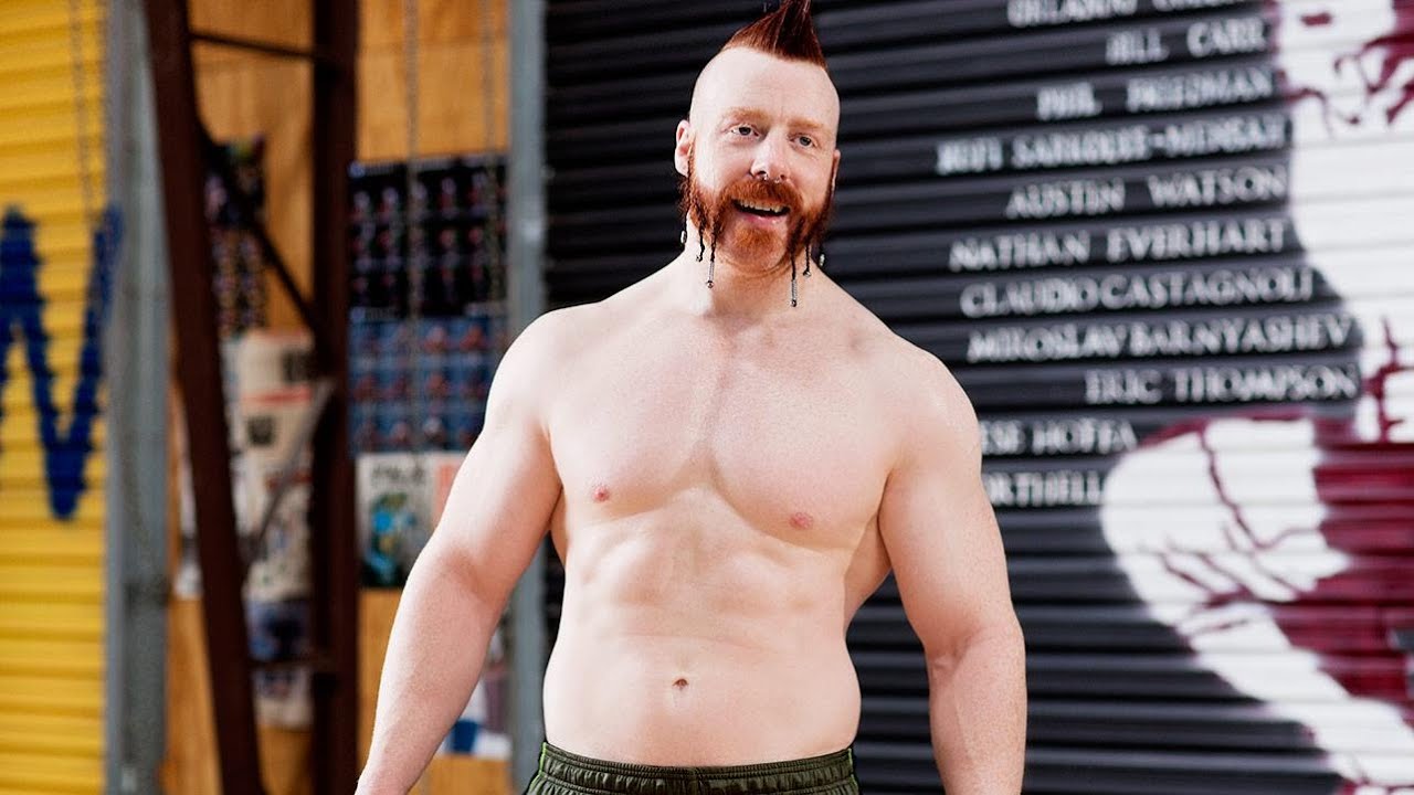 Wwe Body Of Series - Sheamus - YouTube