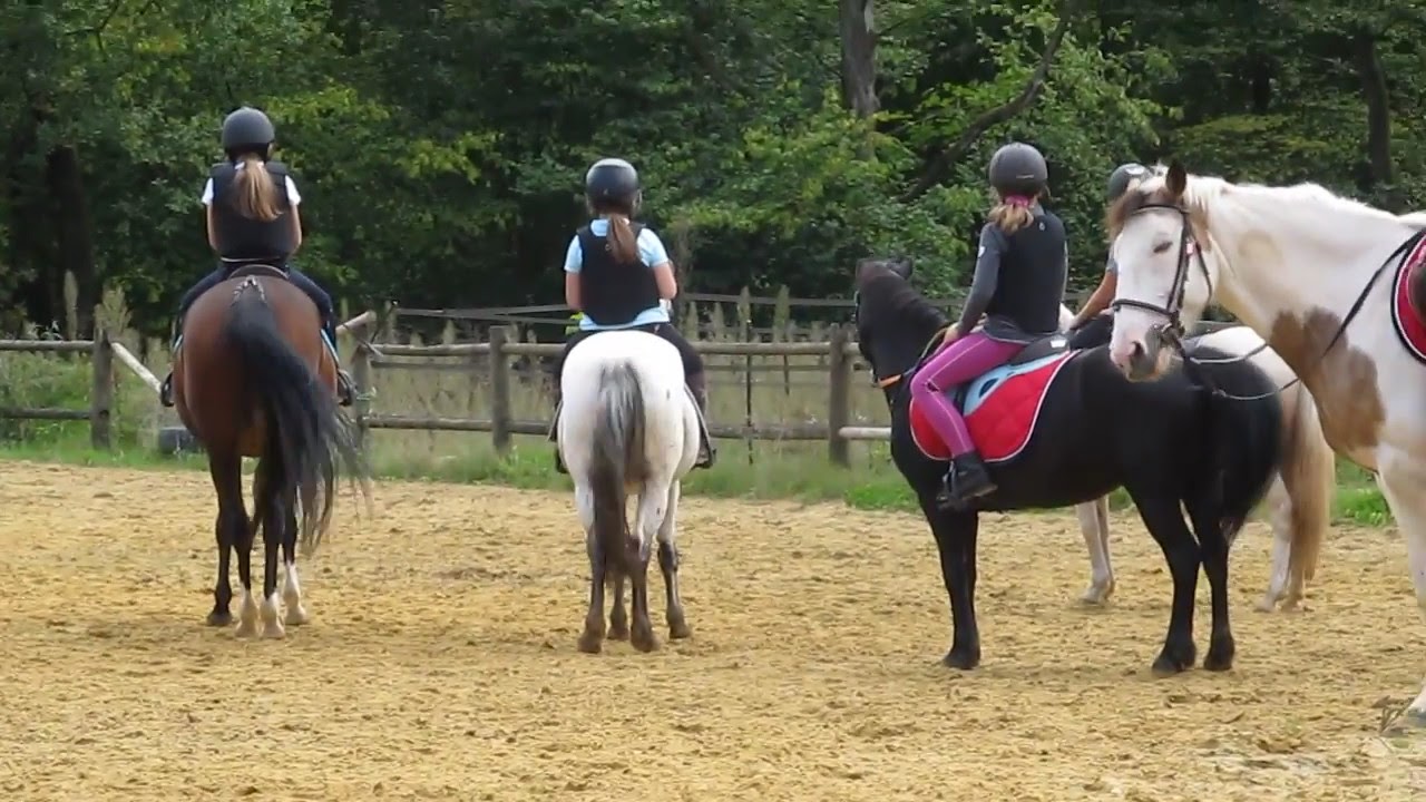 Chutes de Cheval : Une Merveille Naturelle à ne Pas Manquer ! (Fracture ...