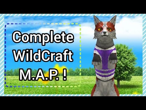 🌼Complete WildCraft map!🌼 (🌻чит.опис.🌻) - YouTube