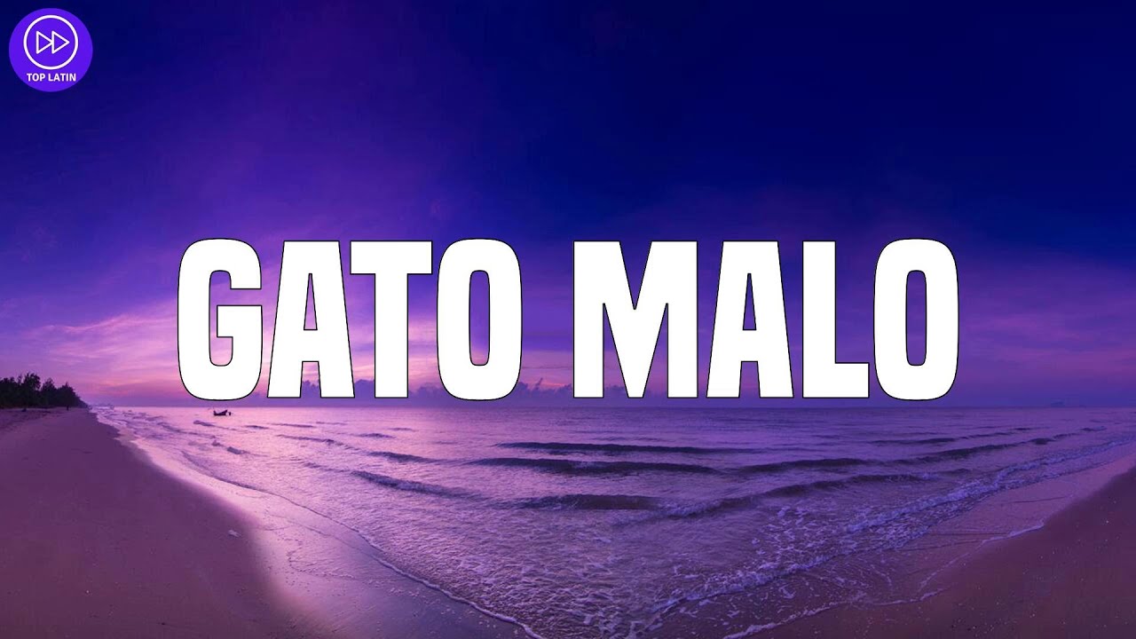 KAROL G - GATO MALO (Letra/Lyrics) - YouTube