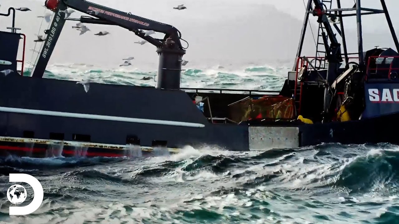 Todas as tripulações prontas para a pesca de caranguejos | Pesca Mortal ...