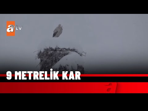 2 katlı evler bile kar altında - atv Haber 15 Mart 2022
