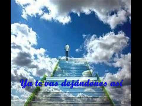 Laura Pausini Te digo adiós - YouTube