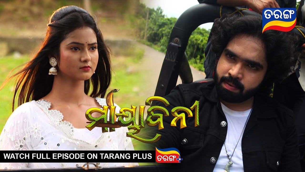 Mayabini | Ep 06 | 22nd Oct 2022 | Best Scene | Odia Serial–TarangTV ...