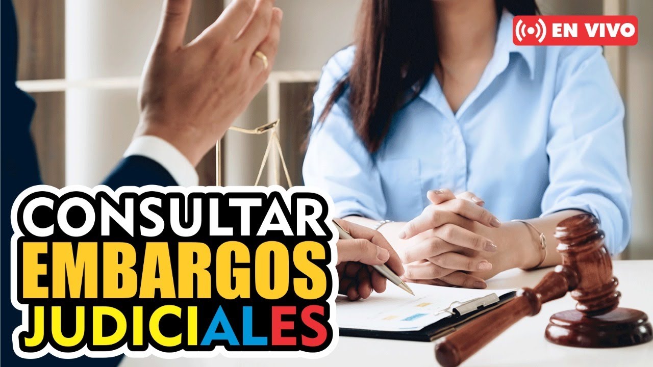 CONSULTAR EMBARGOS JUDICIALES - YouTube