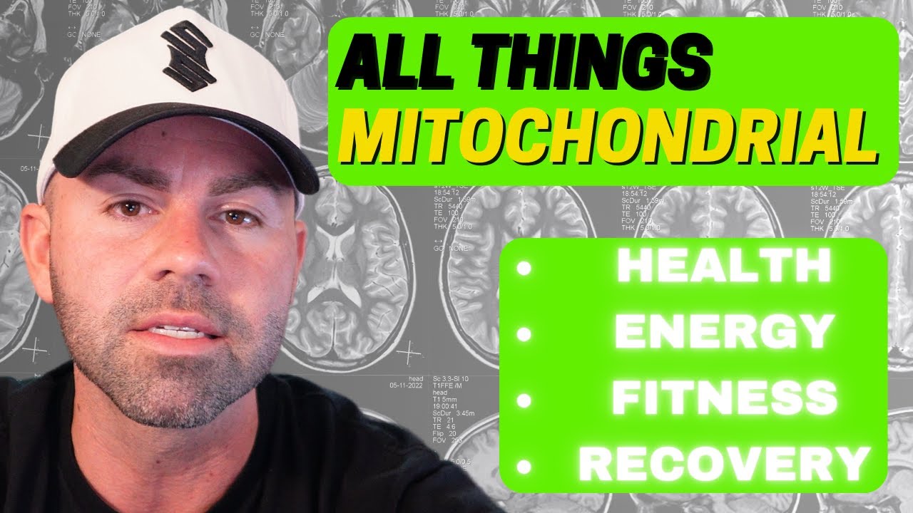 “Unlock Your Body’s Powerhouse: A Guide to Mitochondrial Optimization ...