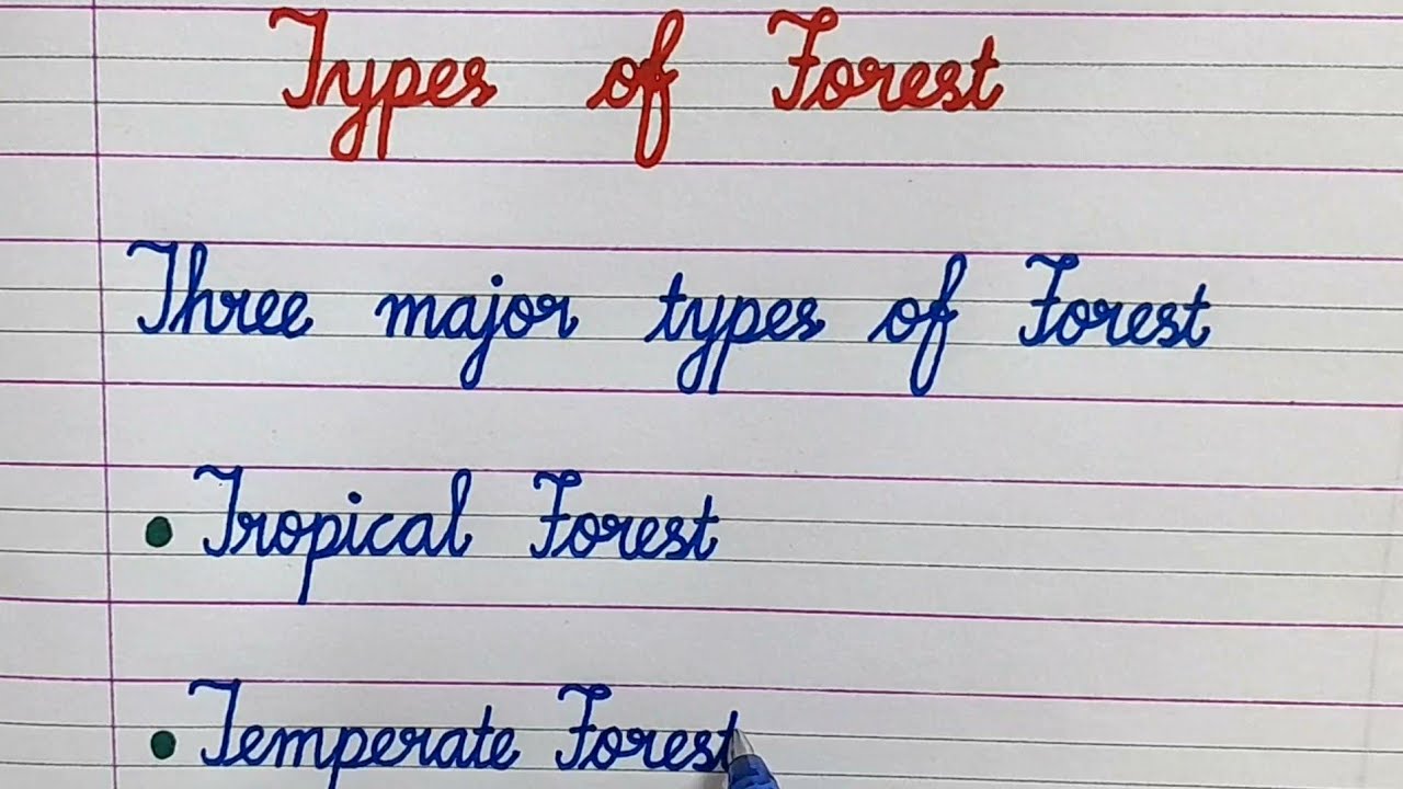 Types of forest/Practice types of forest name in cursive handwriting ...