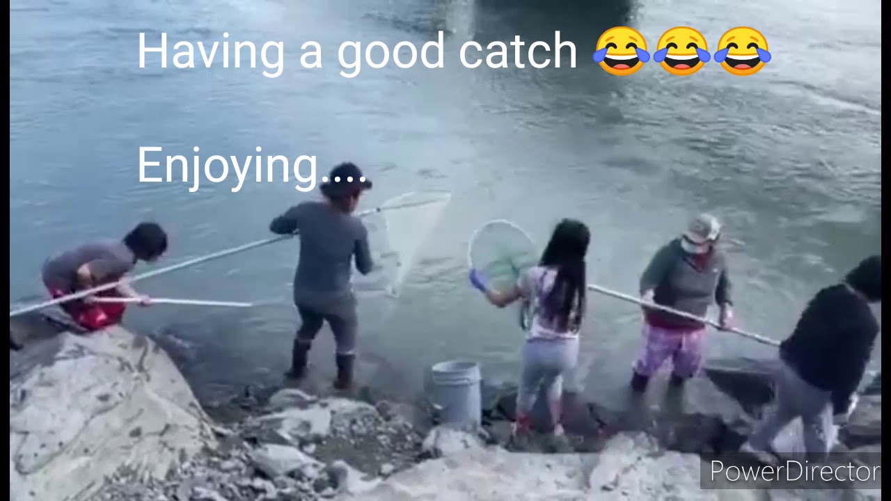 Fishing Moments//Catching lots of fish with Fishnet - YouTube