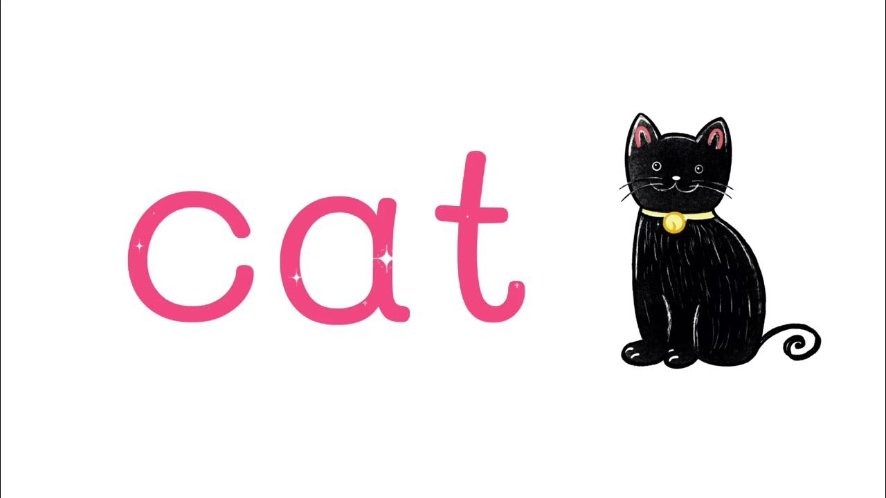 Spelling CAT with Song. I Love Phonics 2 songs. - YouTube