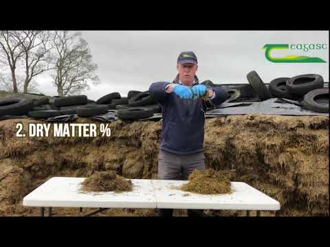 Visual assessment of silage quality - YouTube