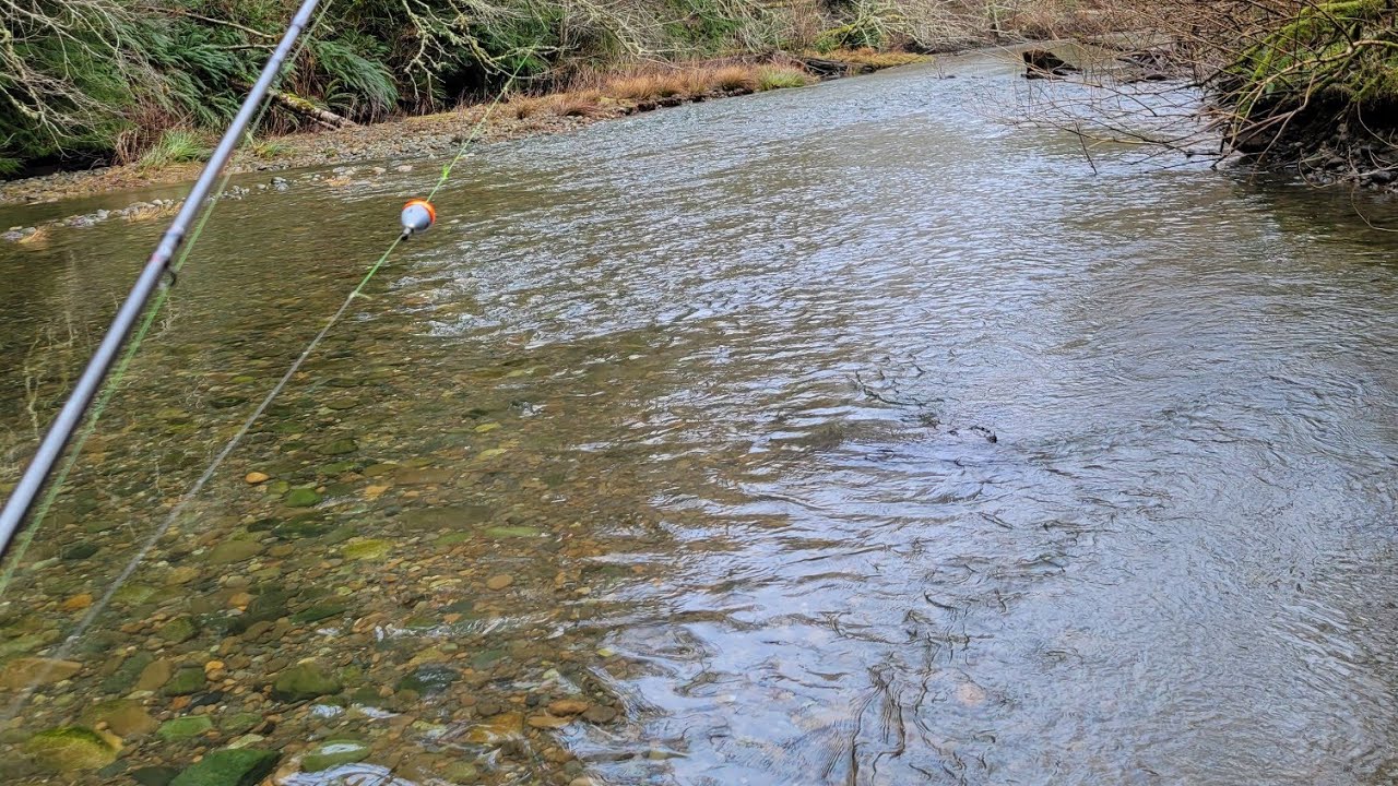 Winter Steelhead GRIND! Fishing Beautiful Waters For Winter Chrome ...