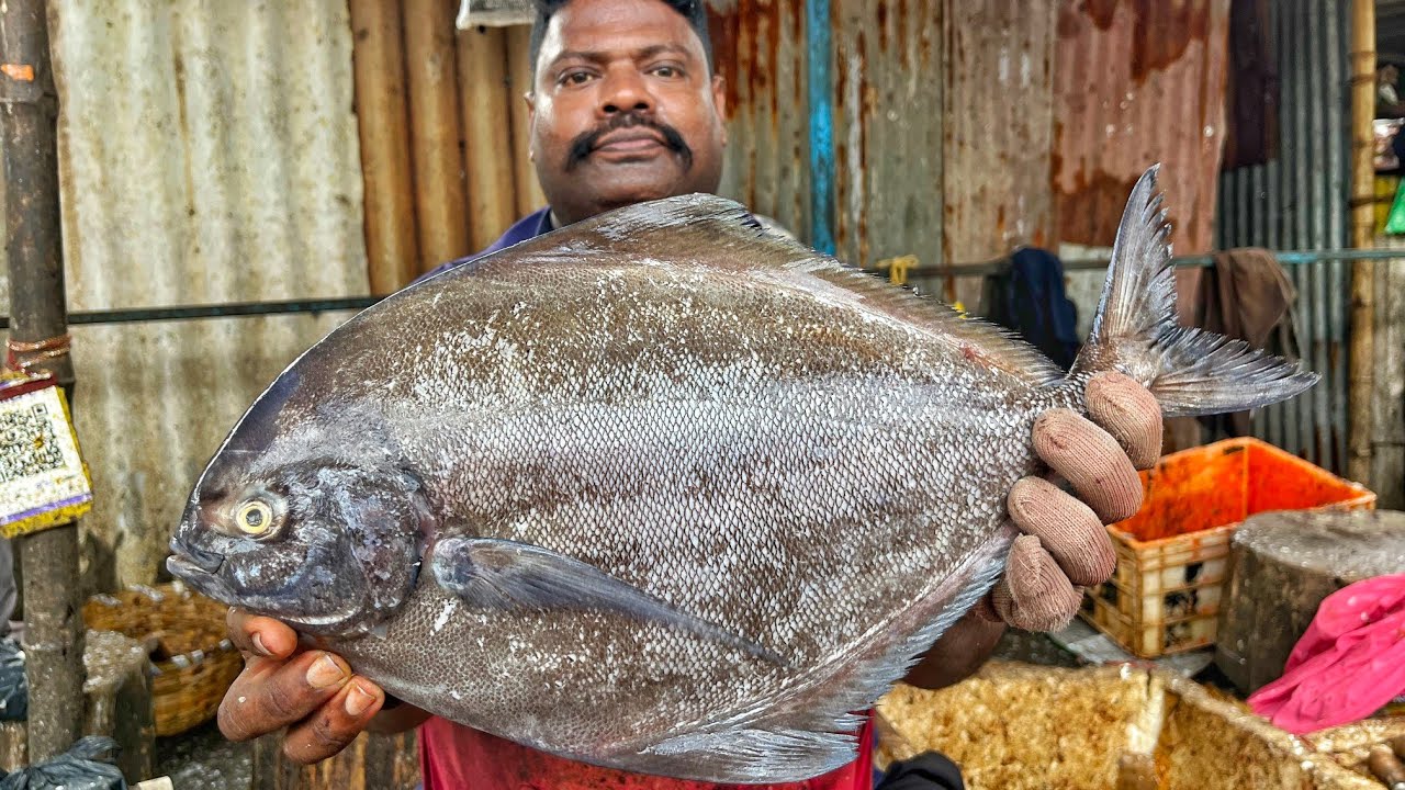 KASIMEDU 🔥 SPEED SELVAM | BIG POMFRET FISH CUTTING VIDEO | 4K VIDEO ...