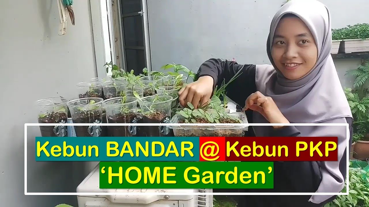 [ Kebun BANDAR ] Kebun Sekeliling RUMAH @‘HOME Garden’ Yang Menarik Dan ...