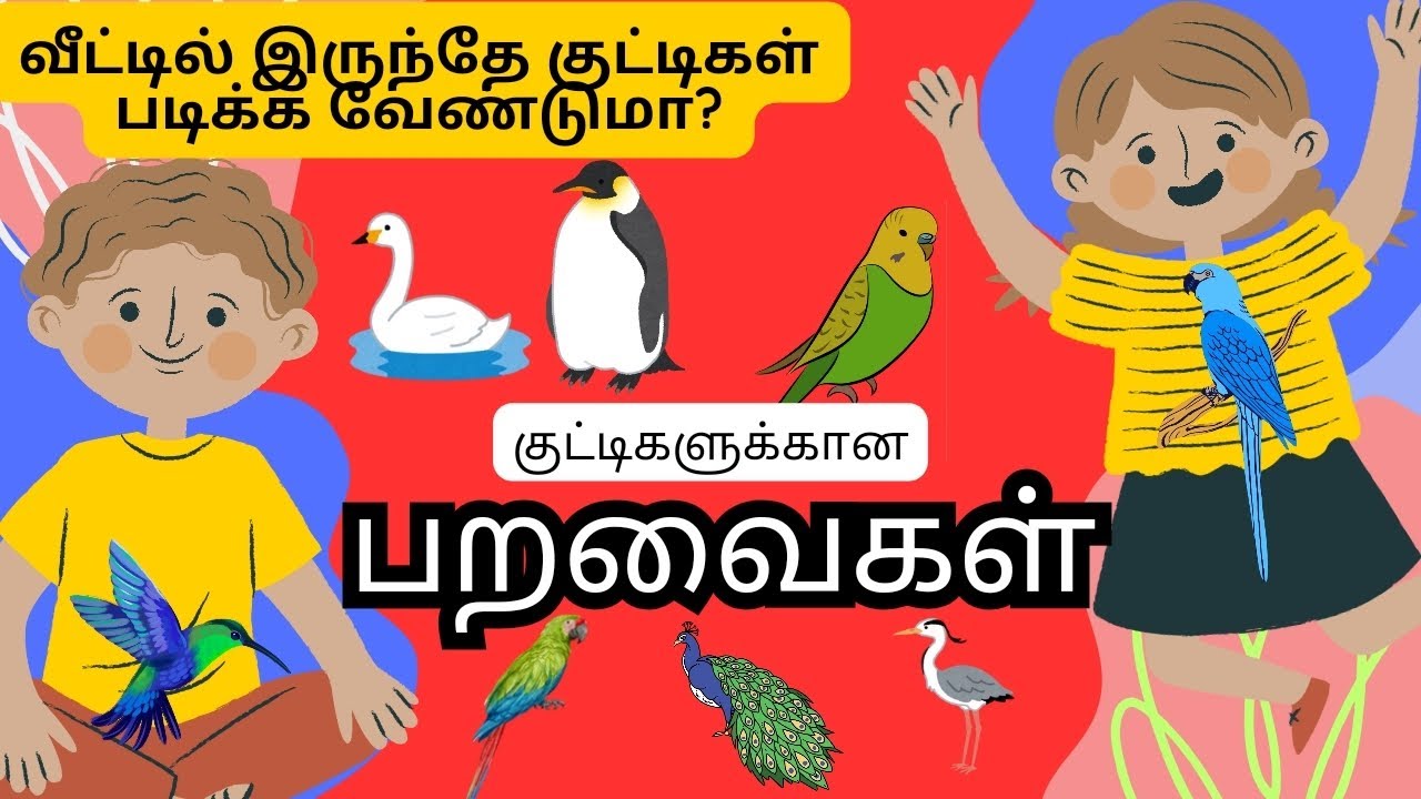 பறவைகள்/ பறவைகளின் பெயர்கள் / Birds name in tamil / paravaikal - YouTube