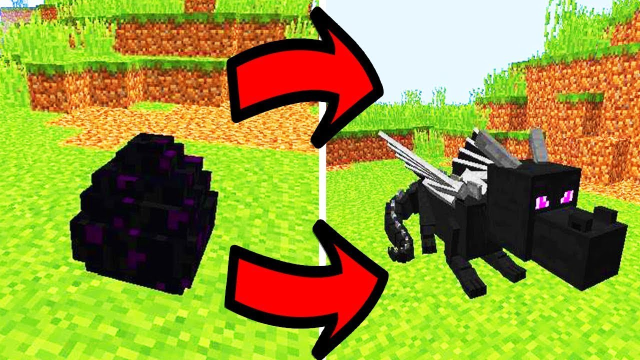 Minecraft How To Hatch The Ender Dragon Egg (WORKING 2020) (PS4/XBOX/WII/MCPE) *NEW* - YouTube