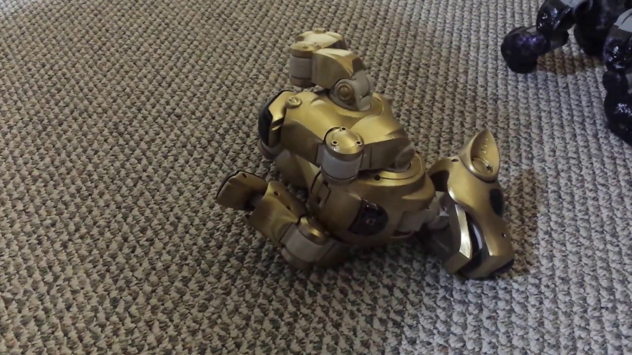 Jersi the custom I cybie - YouTube