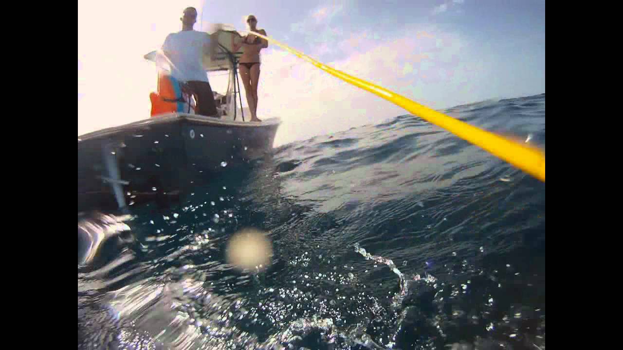 Sebastian Fl Diving - YouTube