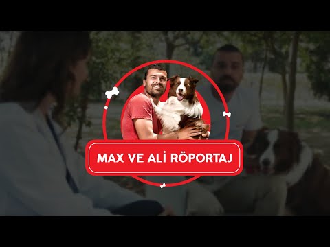 Köpek Eğitim Uzmanı Ali Yeşilırmak ve Max ile birlikte Röportaj!