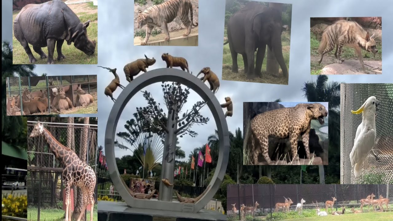 Hyderabad Zoo park Full detail vlog Nehru zoological park Hyderabad ...