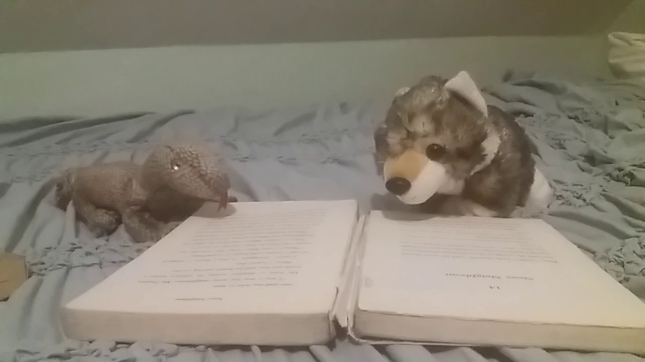 Wolf and Lizard read a bed time story book together with scaly lizard ...