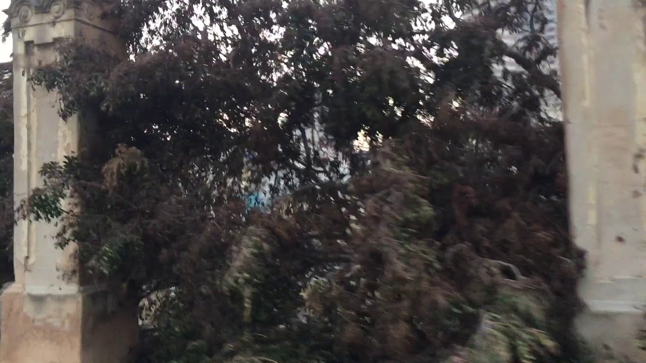 Img 0392 Youtube
