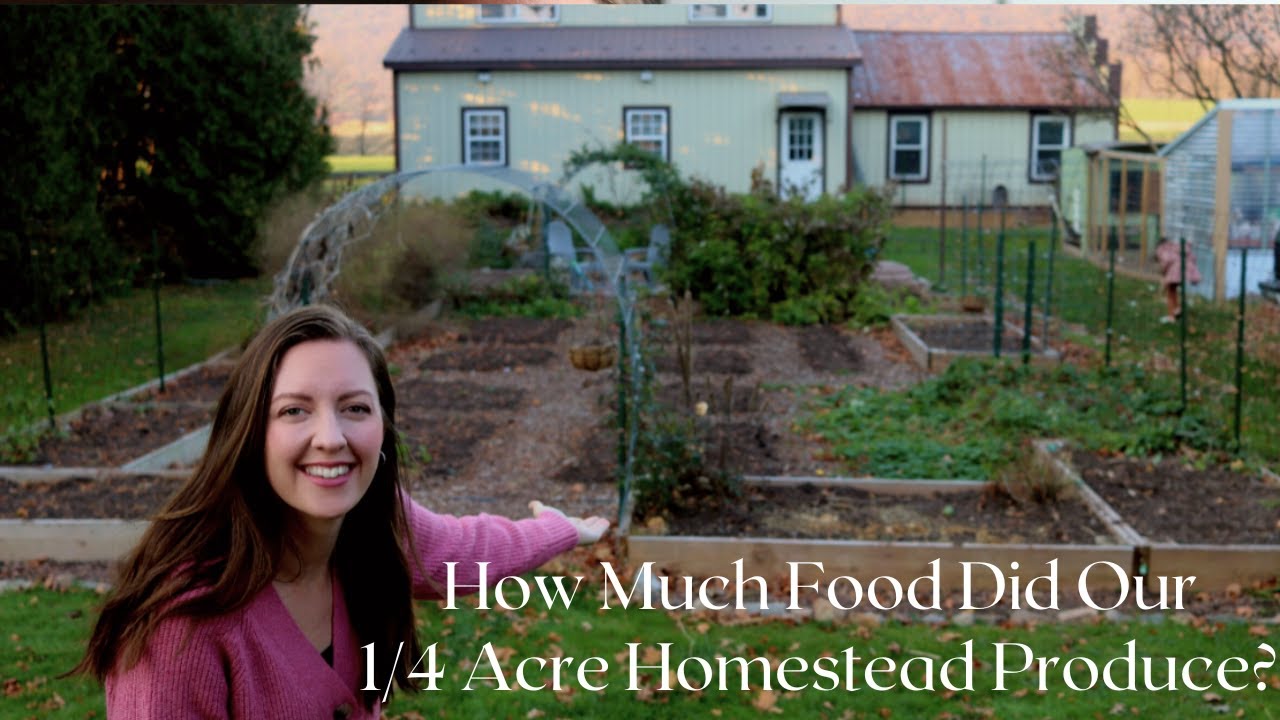 What I Learned From Our 1/4 ACRE HOMESTEAD in 2023 - YouTube