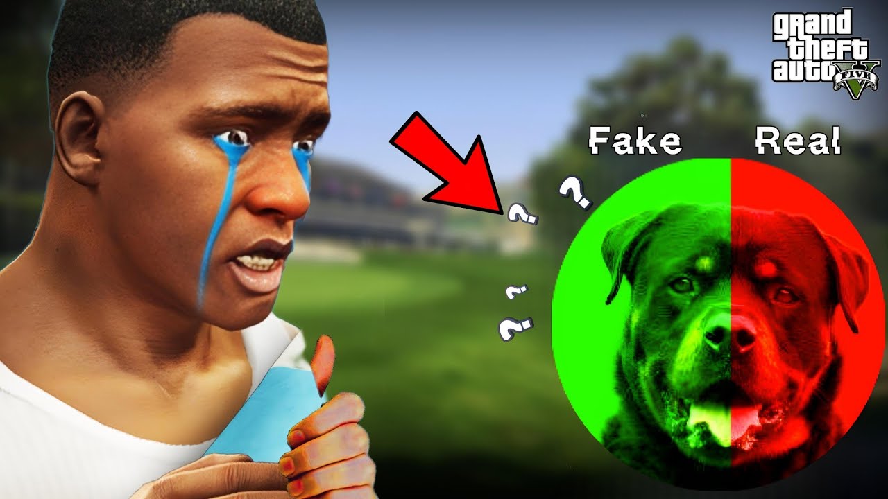 GTA-5 | Can We Find It ? Who Is Real Chop ! - YouTube