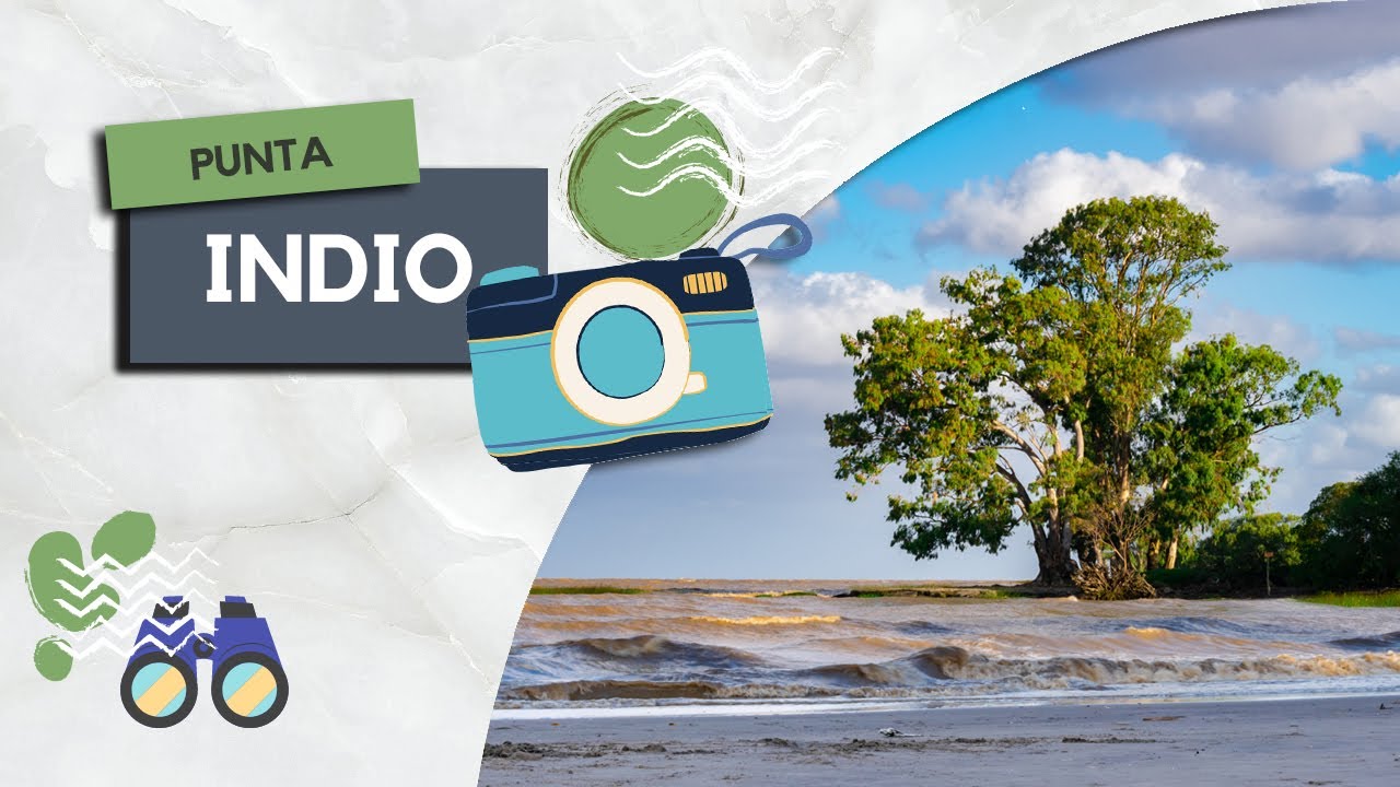 PUNTA INDIO - Paraíso argentino - Especial BUSCANDO FAUNA - YouTube