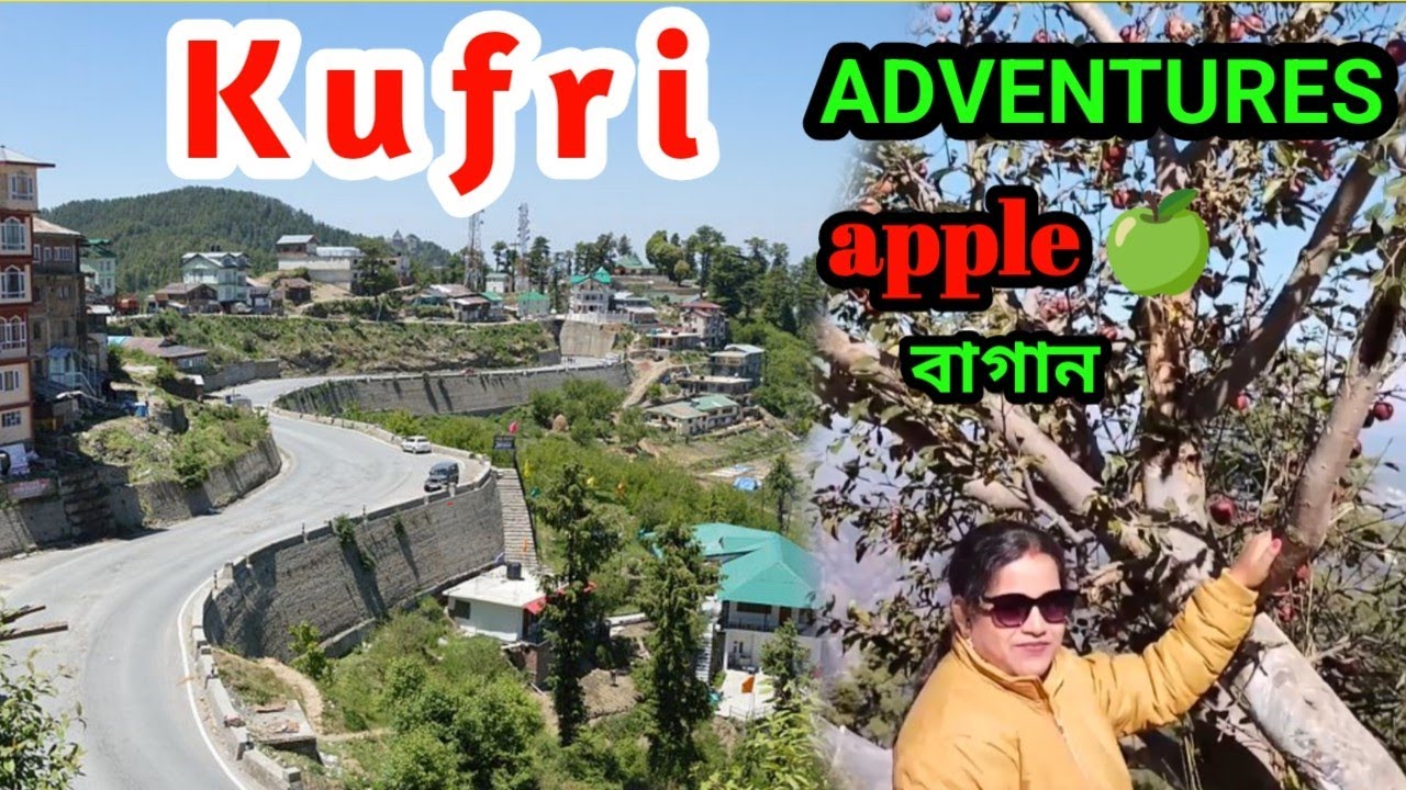 Kufri Shimla | Kufri Apple Garden | Horse Riding | Shimla Tourist ...