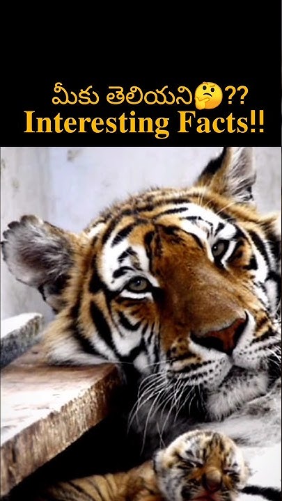 unknown Interesting Facts 🤯||#shorts #youtube #ytshorts #viral # ...