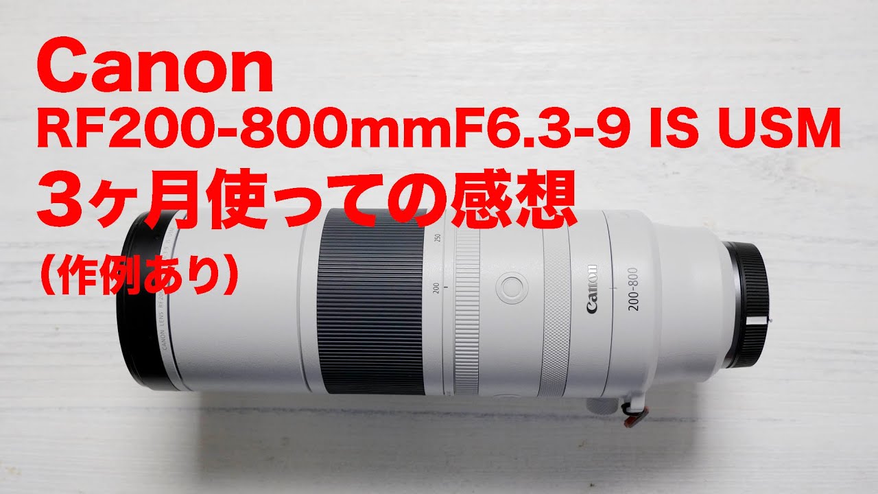 Canon RF200-800mmF6.3-9 IS USMを3ヶ月使用しての感想（作例あり） - YouTube