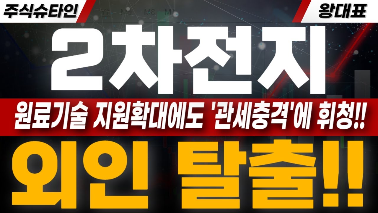 2차전지 금양 포스코홀딩스 에코프로 엘앤에프 원료기술 지원확대에도 관세충격에 휘청 이 때 상승 준비 하세요 금양 포스코홀딩스주식 에코프로 엘앤에프