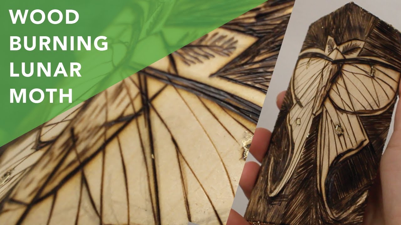 wood burning: lunar moth - make art with me - YouTube