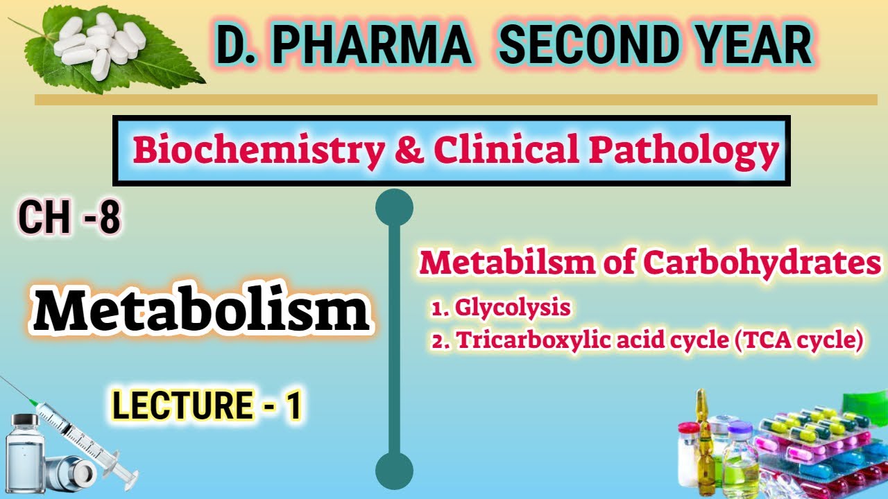 Glycolysis And TCA Cycle CH 8 L 1 Biochemistry Metabolism D glycolysis-and-tca-cycle-ch-8-l-1-biochemistry-metabolism-d