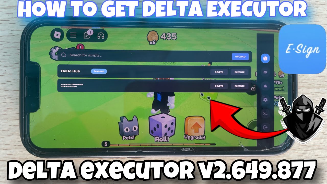 How to Download “Delta Executor iOS” Using Esign iPA Signer | Best ...