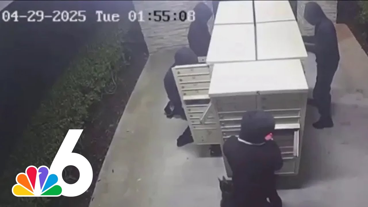 Men caught on camera stealing 200 pounds of mail before going shopping ...