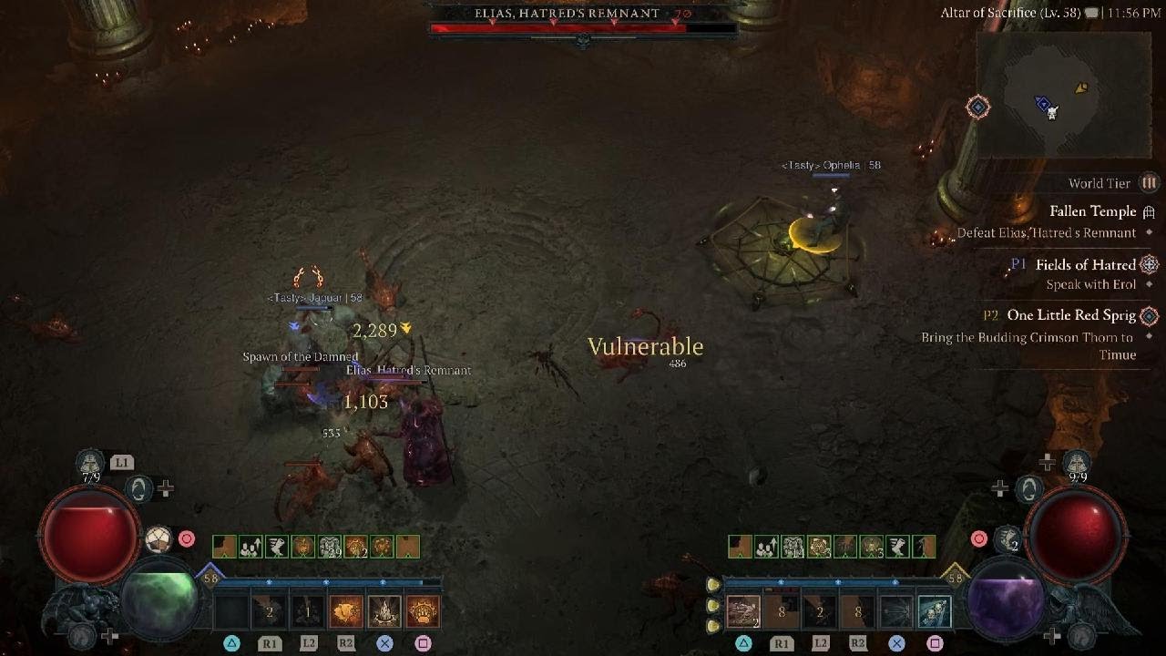 Diablo IV_Fallen Temple Capstone Dugeon_Level 75_Rogue (58) and Druid ...