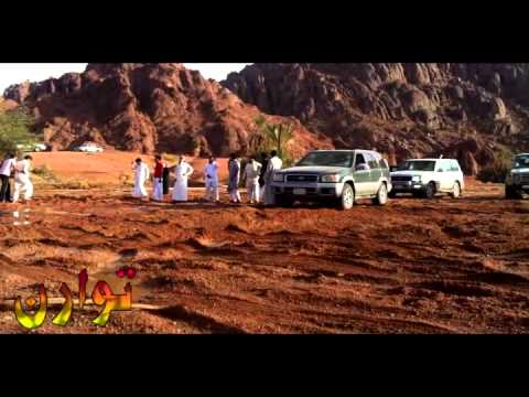 twarn - YouTube