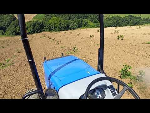 🌰 fındıkları ilaçlıyoruz 🚜 NEW HOLLAND TD 4.100f Kozlu vadi fındık çiftliği 😊