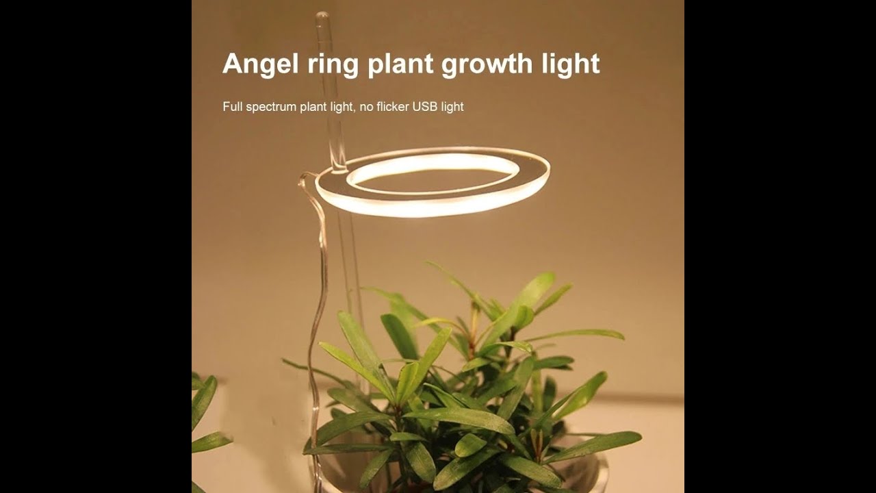 LED Angel Ring Full Spectrum Plants Grow Light - YouTube