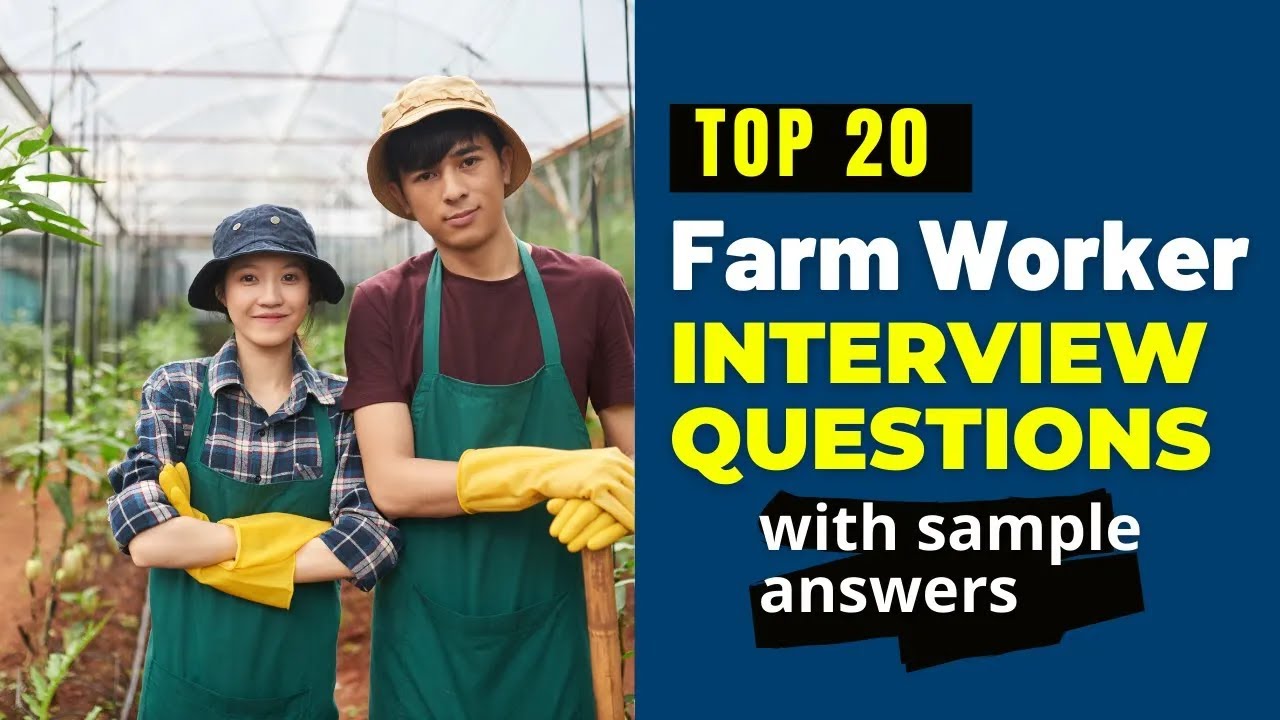 Farm Worker Interview Questions And Answers For 2024 YouTube farm-worker-interview-questions-and-answers-for-2024-youtube