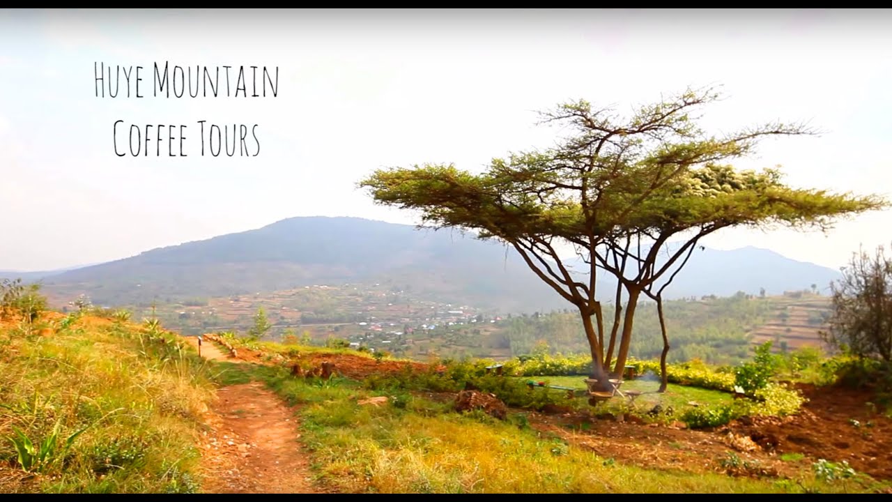 Huye Mountain Coffee Tours Rwanda - YouTube