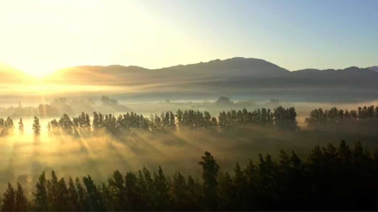 Wij zijn het eeuwige Nu - Milo Angelo - YouTube