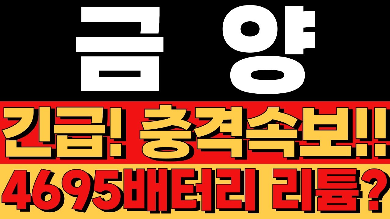 금양 충격속보 4695 배터리소재 리튬가격 상승금양 금양주가 금양주가전망 금양주식 금양주식전망 금양목표가 금양투자 금양분석 금양대응 금양대응방법