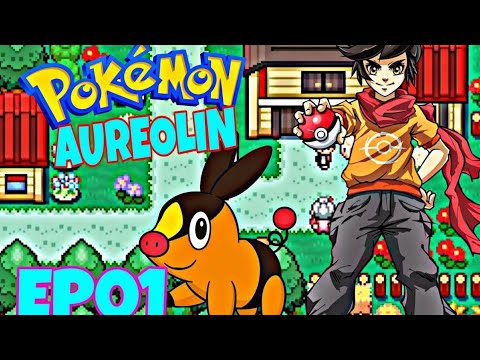 POKEMON AUREOLIN EP01 IN HINDI | I CHOOSE TAPIG - YouTube