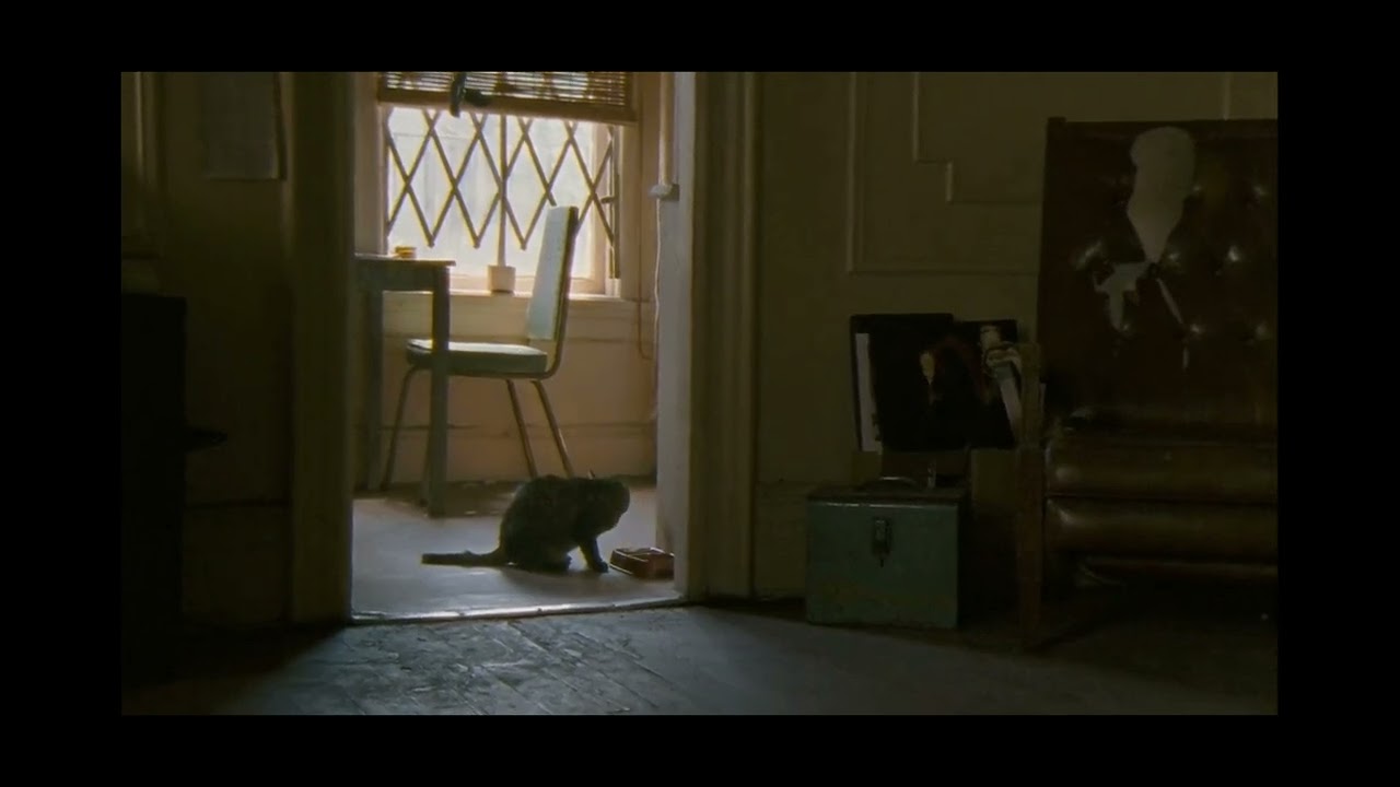 Ryan Gosling and cats: a compilation। Half Nelson (2006) - YouTube